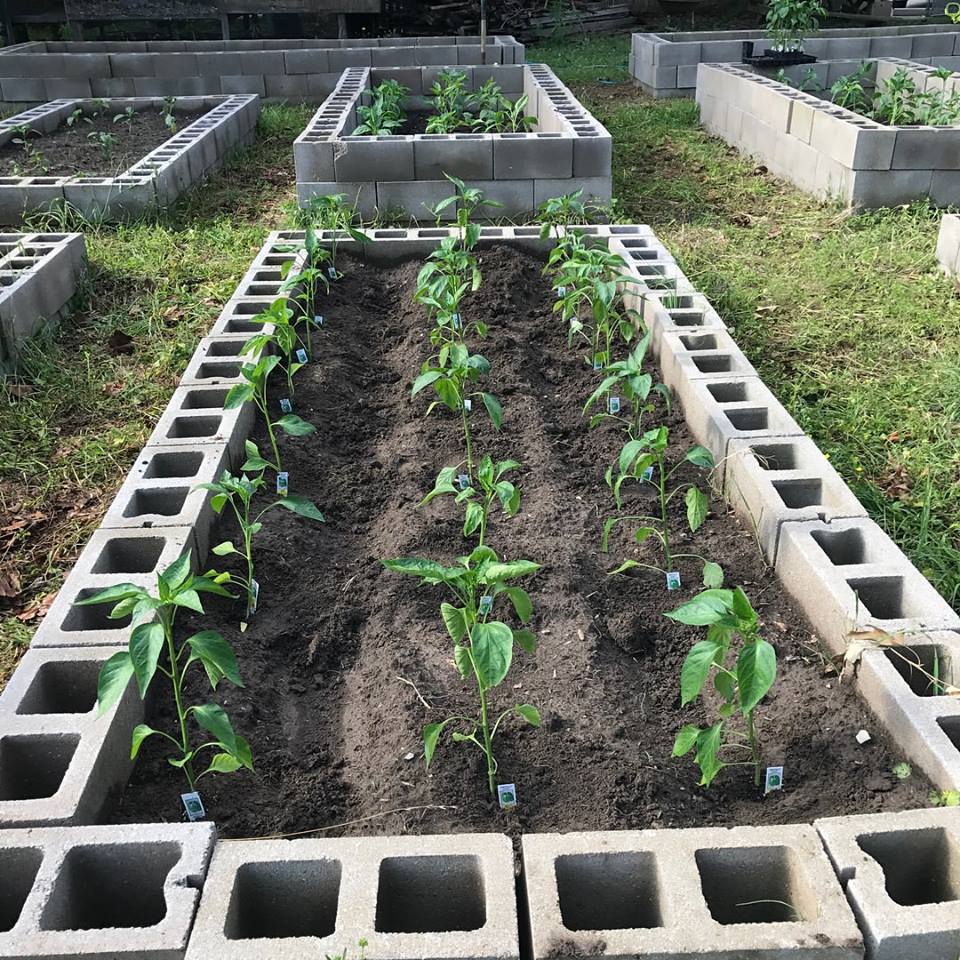 Recovery Garden - 24 Hour Citizen Project